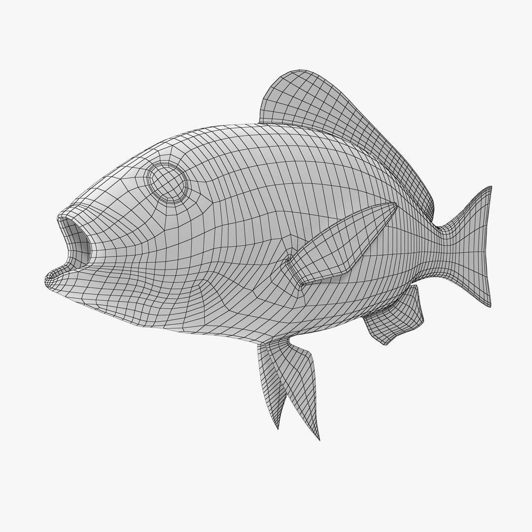 Pacific Red Snapper 3d Dxf