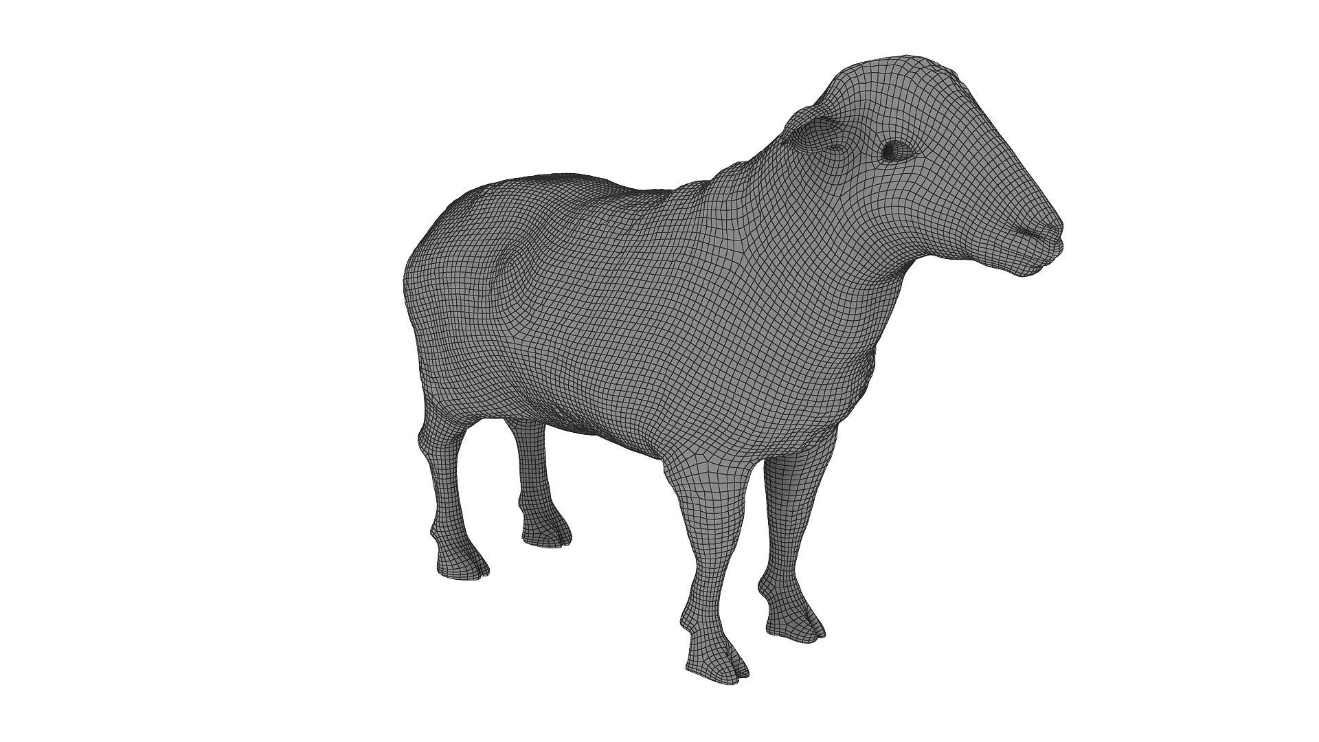 Realistic Sheep 3D Model - TurboSquid 1437767