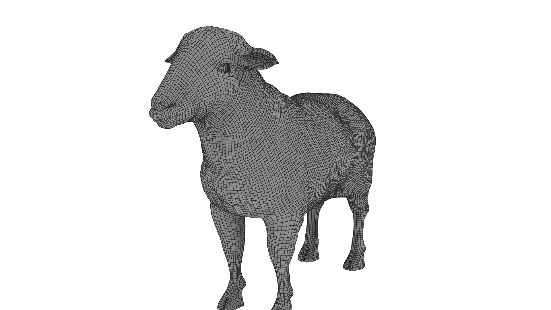 Realistic Sheep 3D Model - TurboSquid 1437767