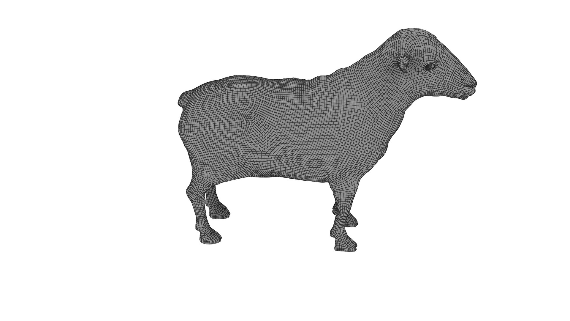 Realistic Sheep 3D Model - TurboSquid 1437767