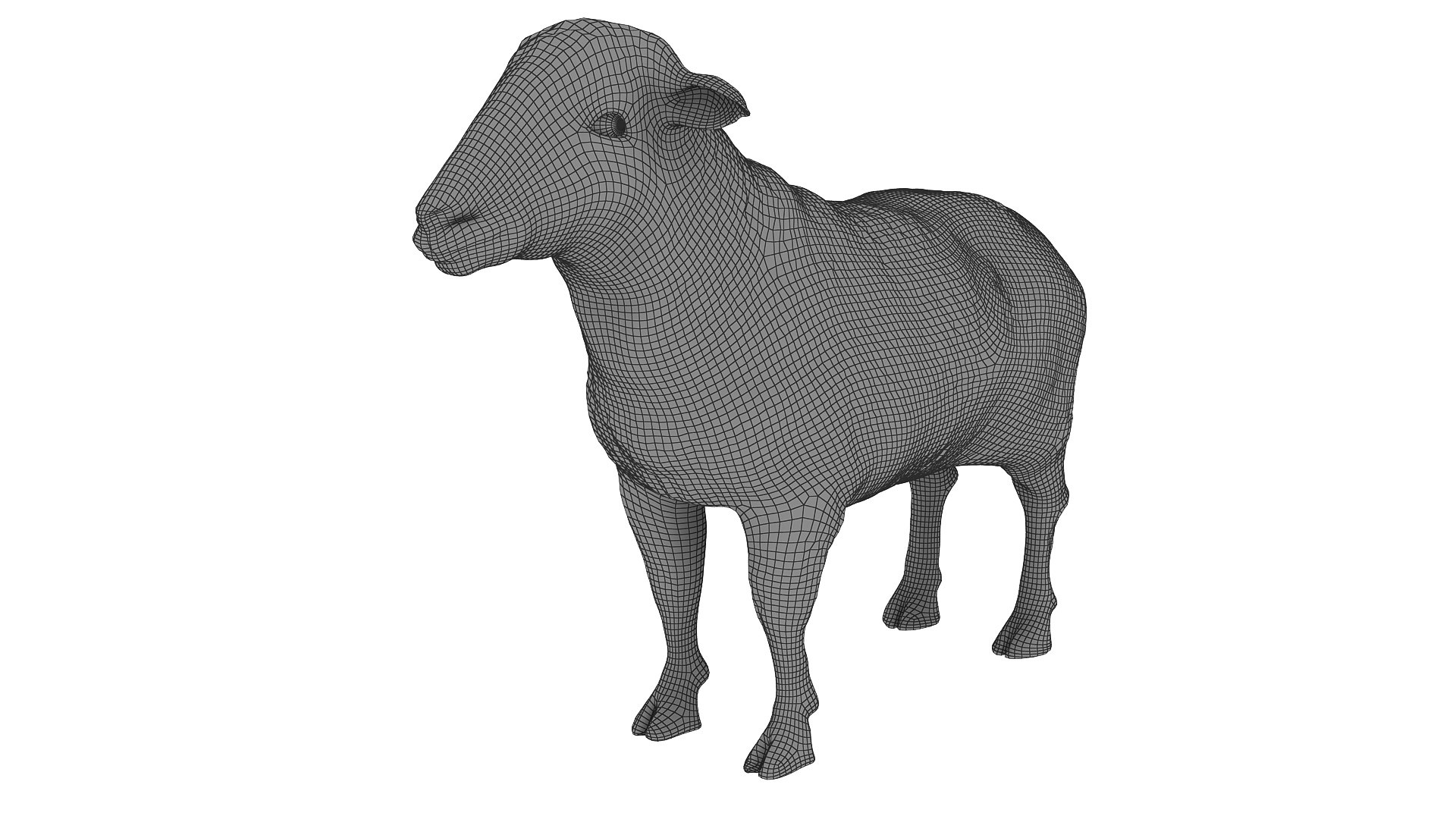 Realistic Sheep 3D Model - TurboSquid 1437767