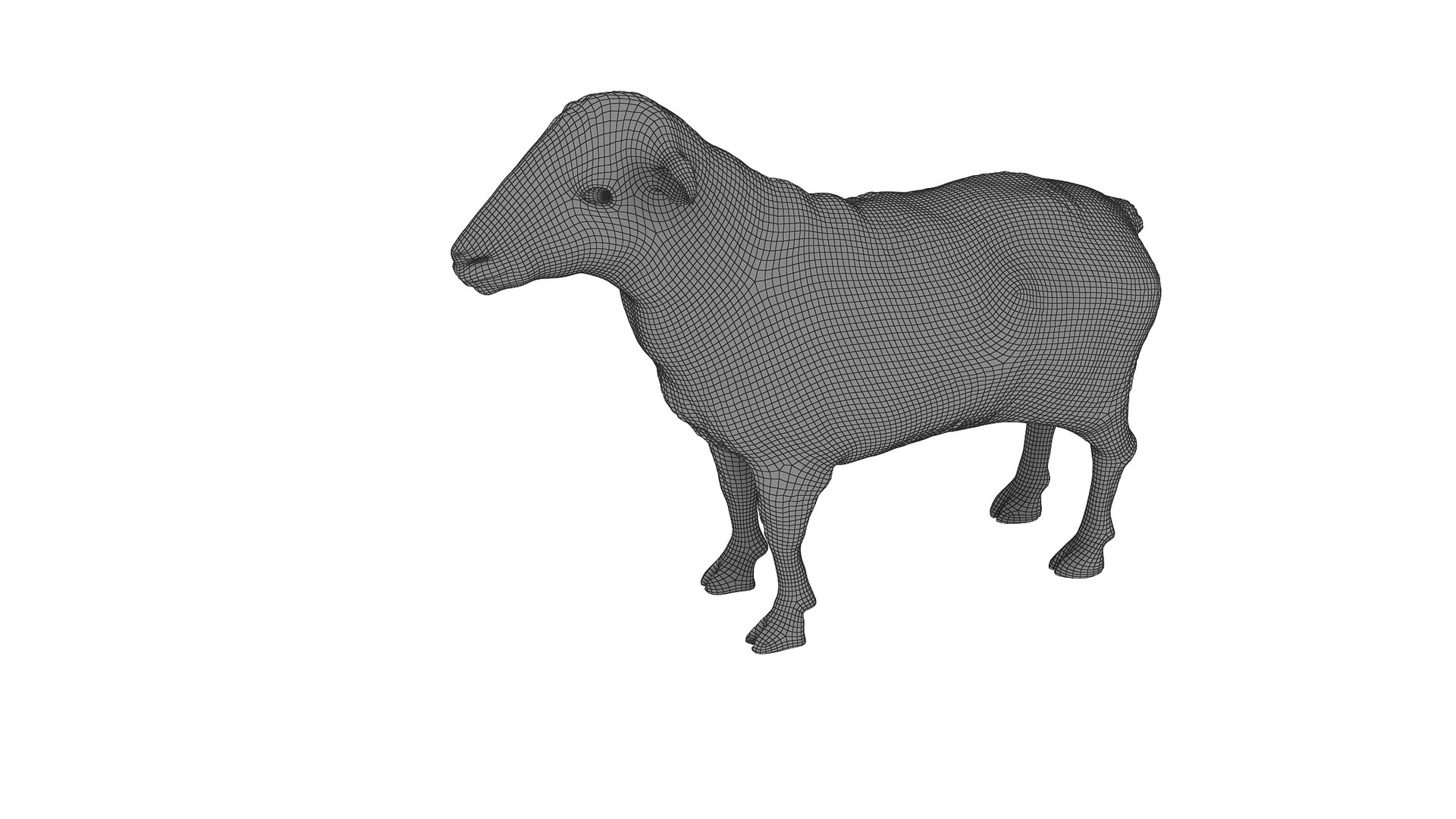 Realistic Sheep 3D Model - TurboSquid 1437767