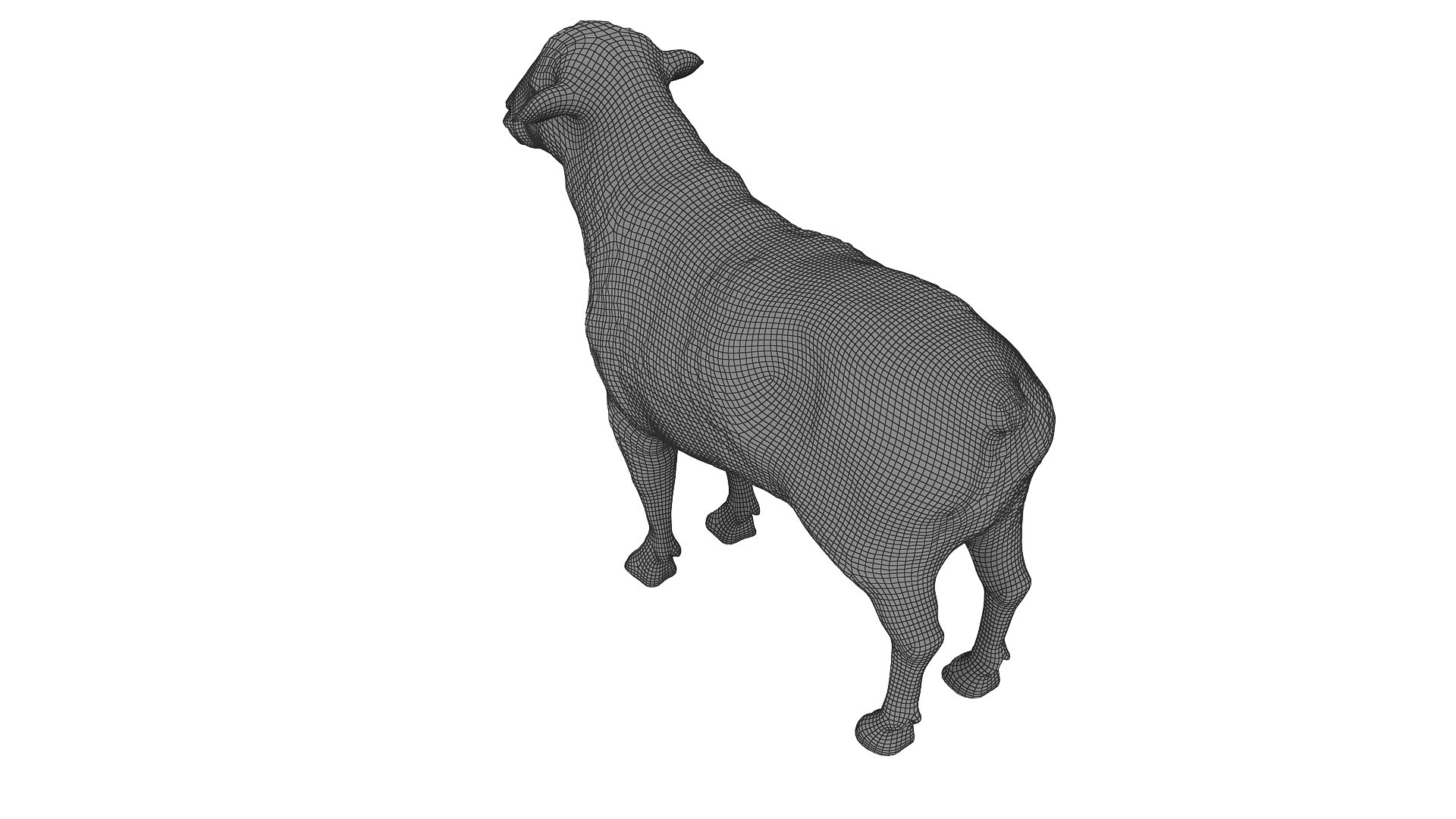 Realistic Sheep 3D Model - TurboSquid 1437767