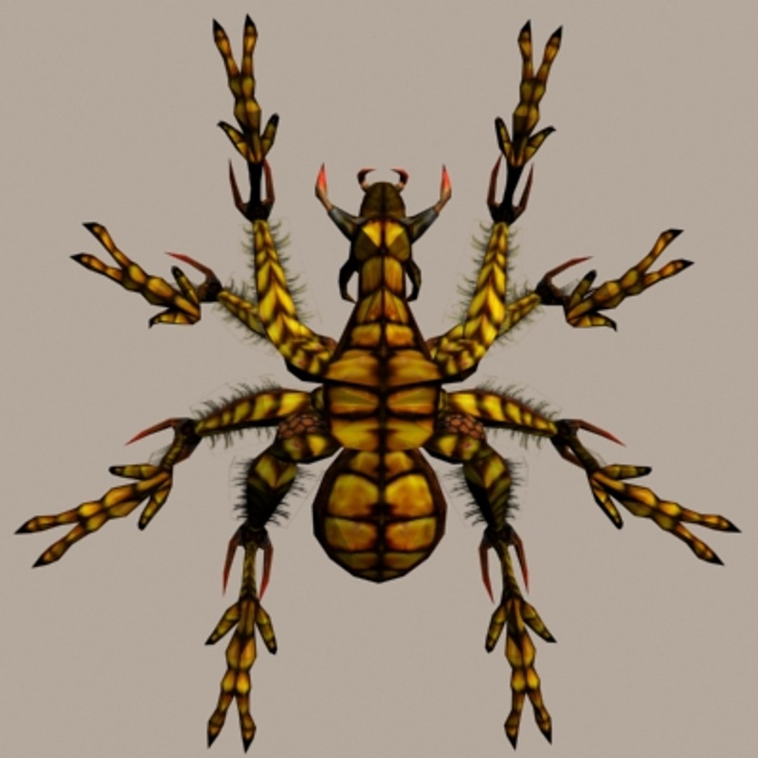 3d Model Spider Dragon