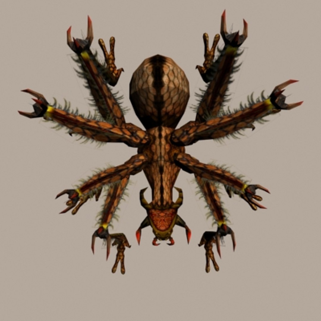 3d Model Spider Dragon