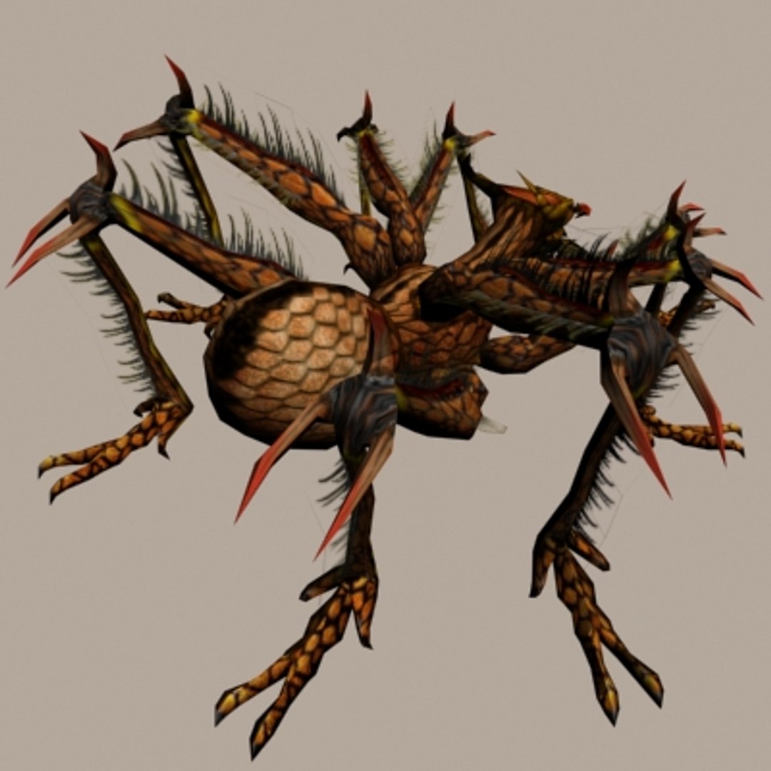 3d Model Spider Dragon