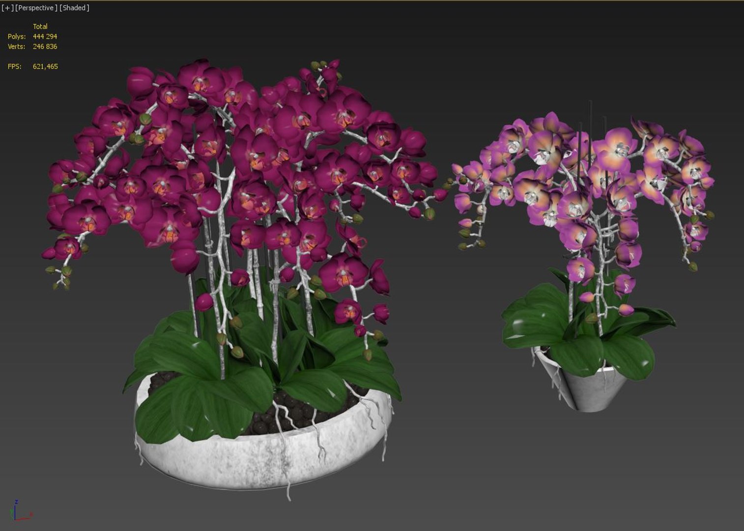 3D Model Set Orchid - TurboSquid 1642847