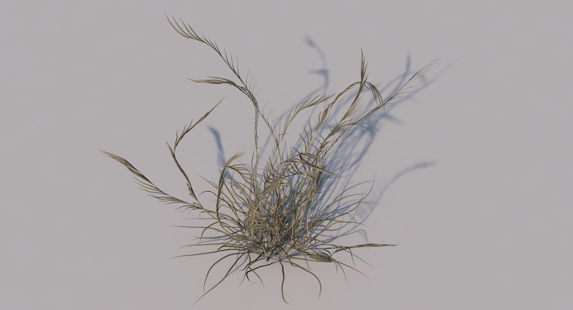 3D grass wild model - TurboSquid 1457422