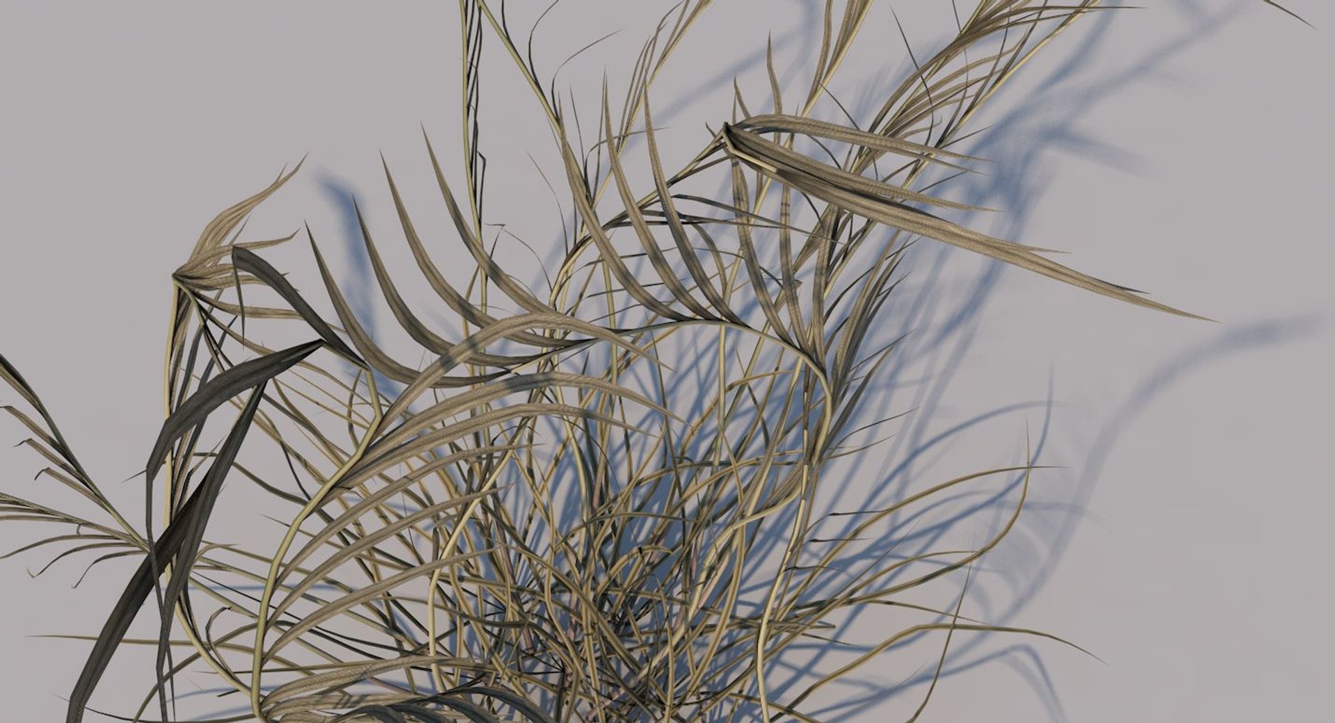 3D grass wild model - TurboSquid 1457422