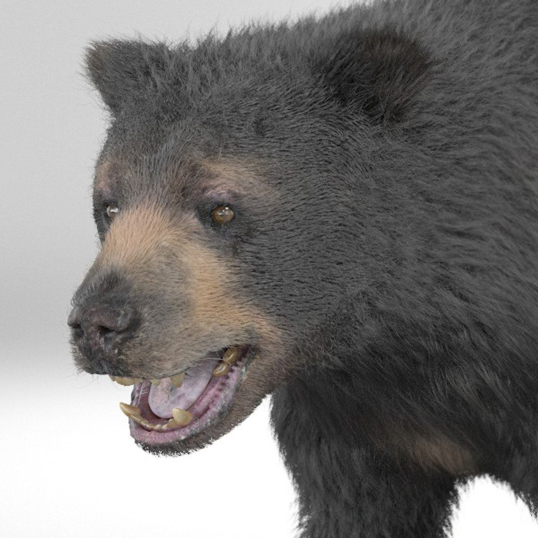 - Realistic 3d Model