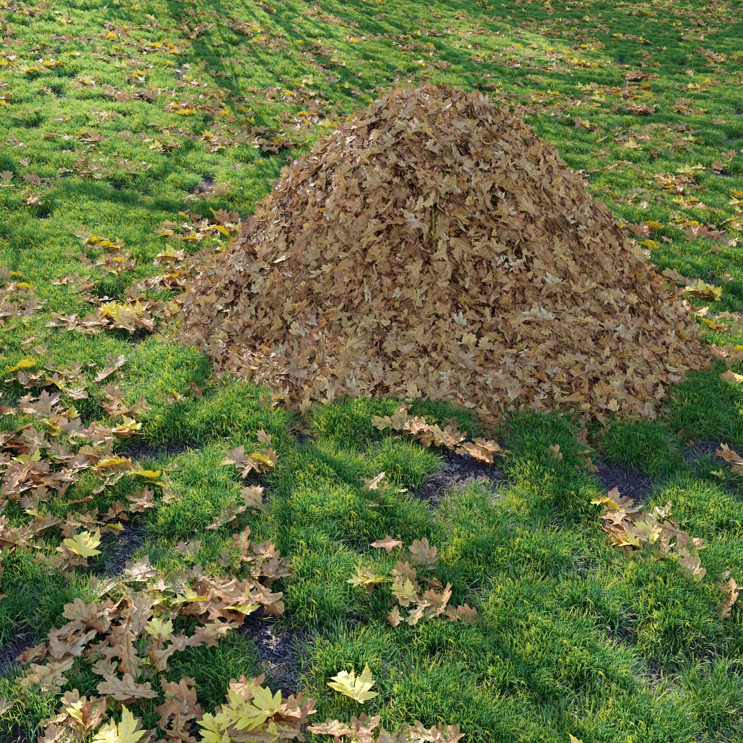 Meadow 12 3D Model - TurboSquid 1958141