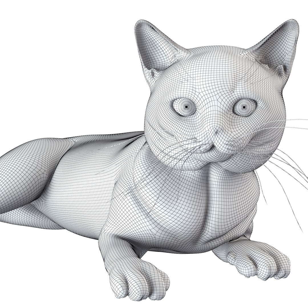 Gray Cat 3D Model - TurboSquid 1955151