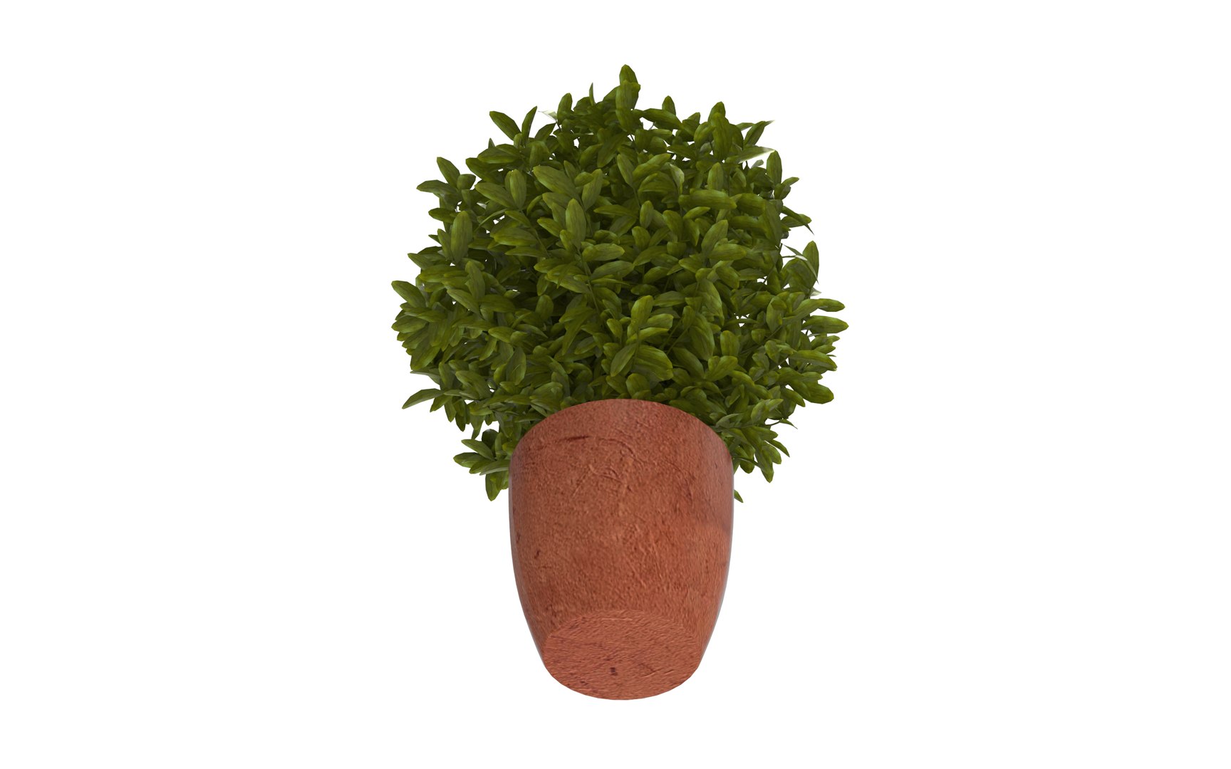 Potted Plant 3D model - TurboSquid 2137716
