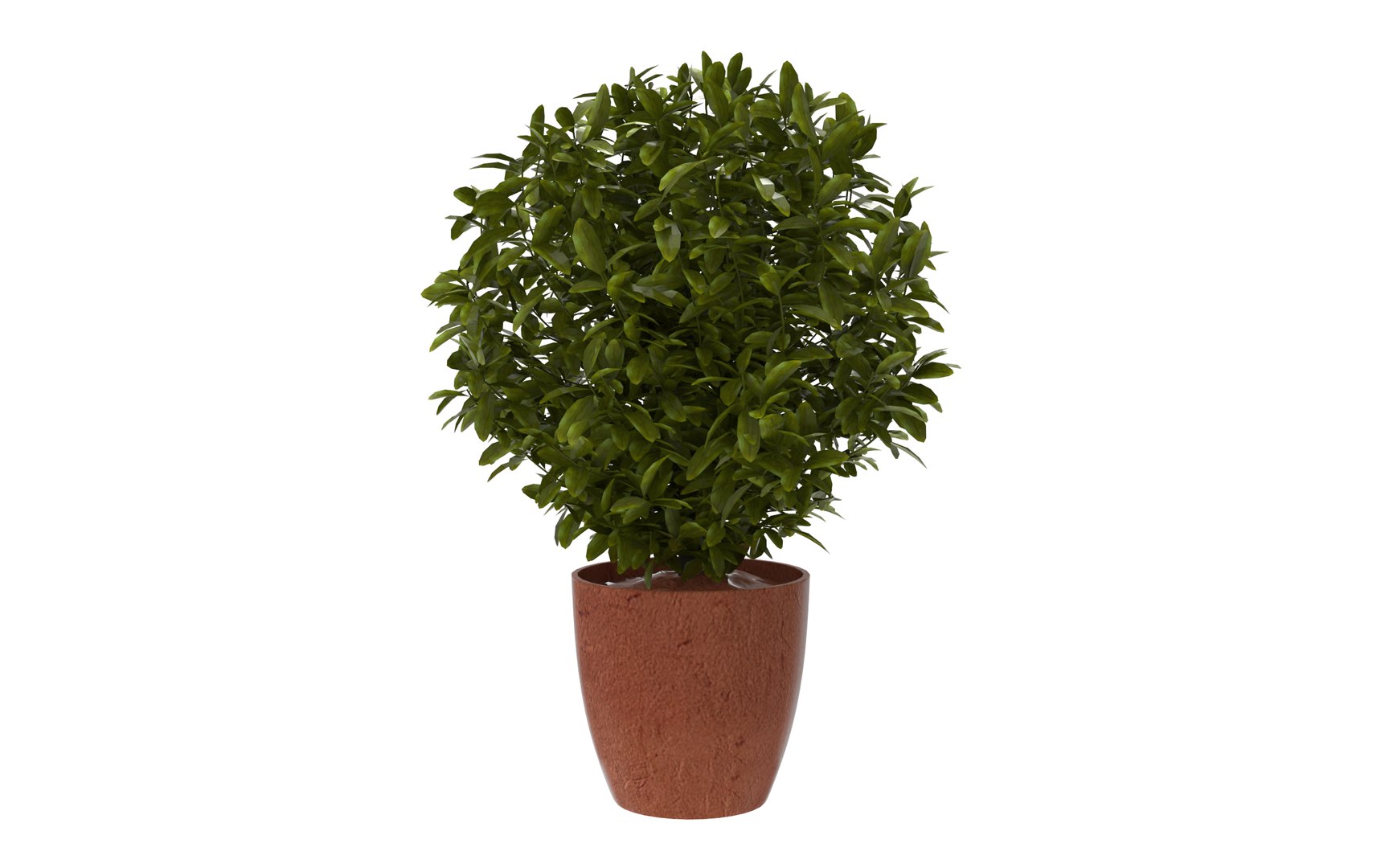 Potted Plant 3D model - TurboSquid 2137716