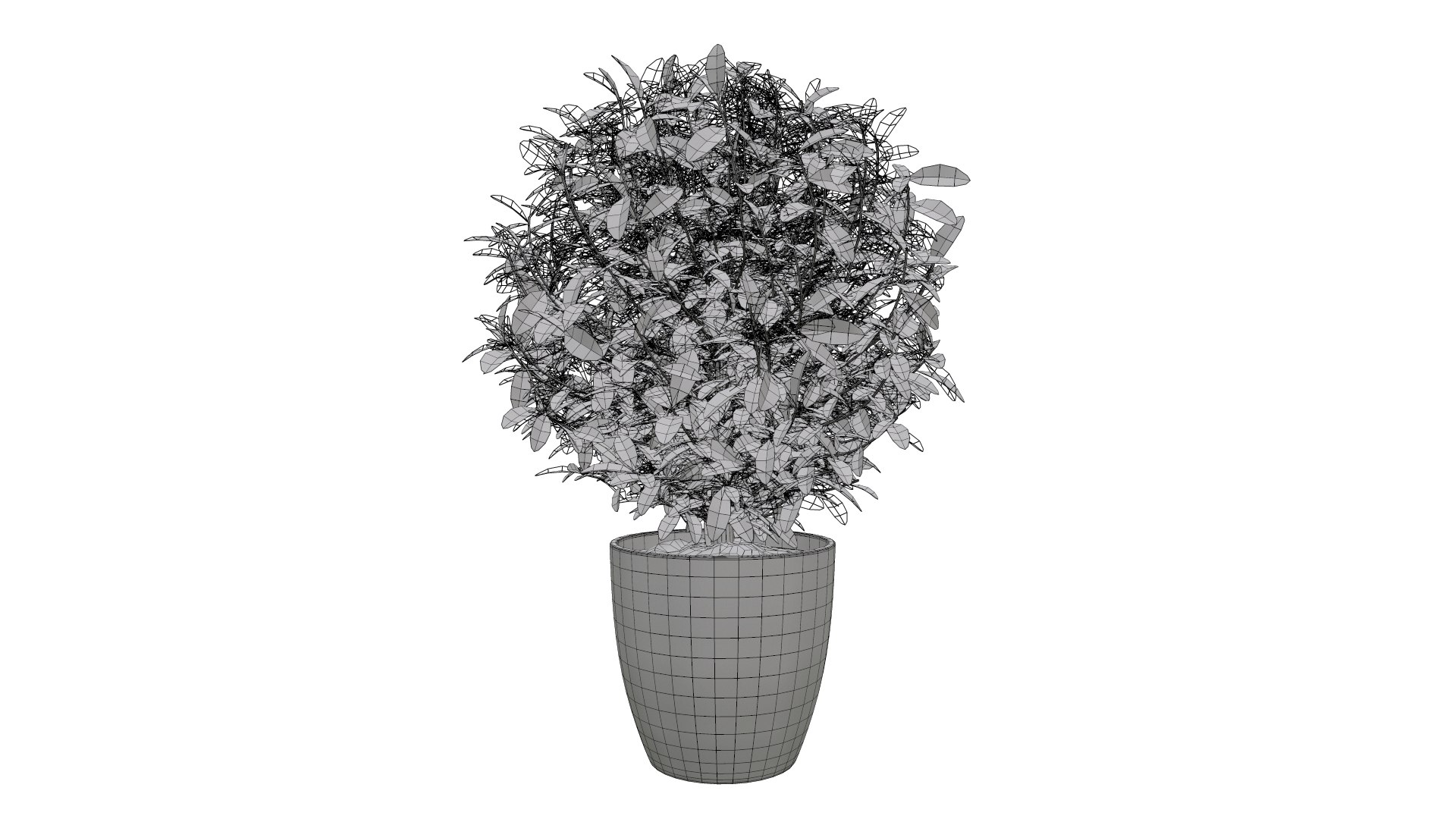 Potted Plant 3D model - TurboSquid 2137716