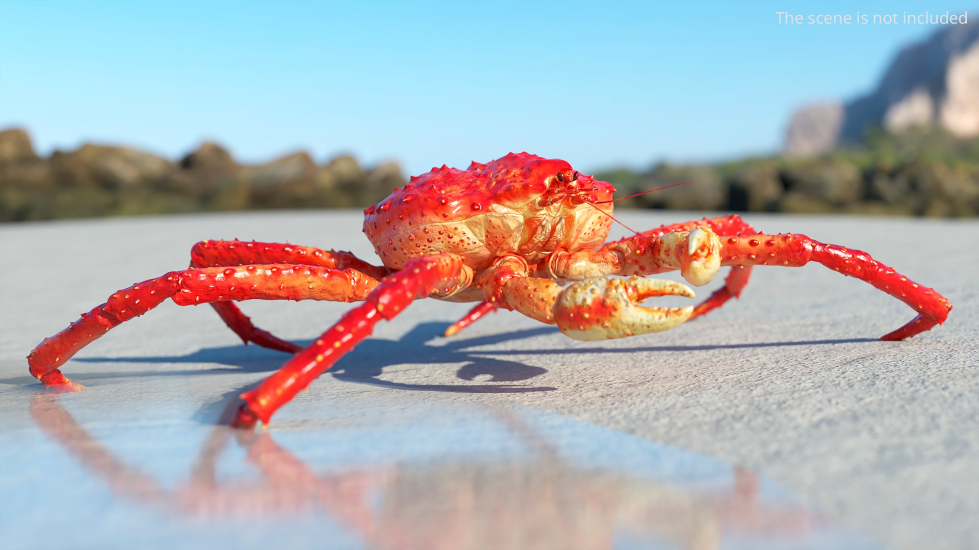 3D Model Red King Crab Rigged For Blender - TurboSquid 2506785