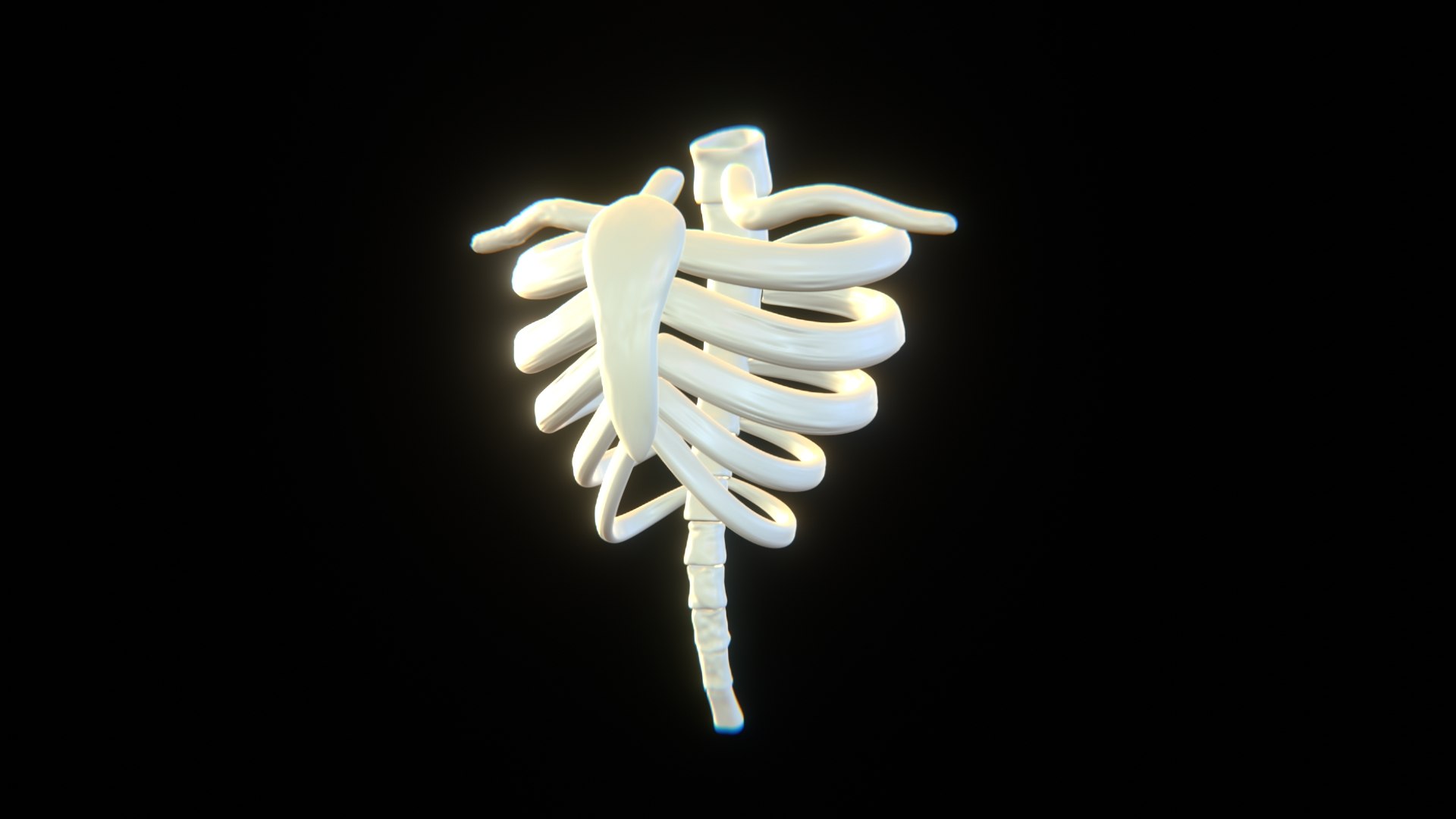 Rib 3D - TurboSquid 1944983