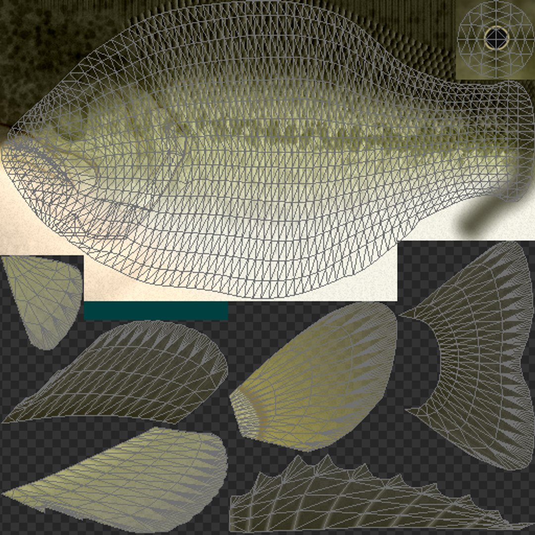 Blackbass Bass 3d Model