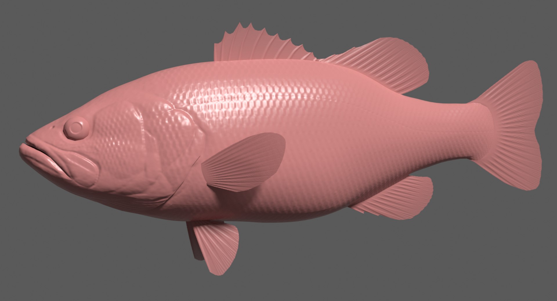 Blackbass Bass 3d Model