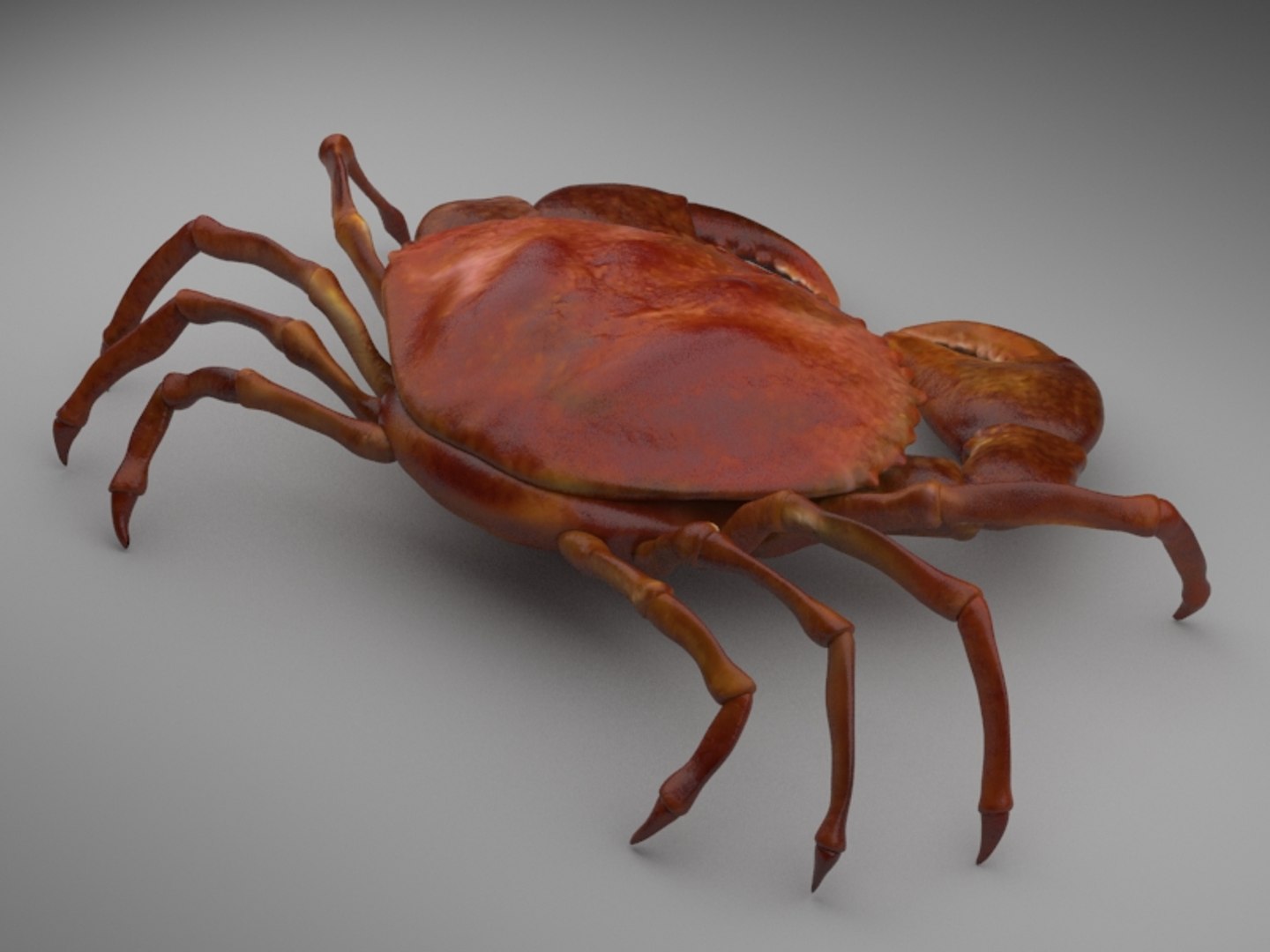 3d Max Crab Rig
