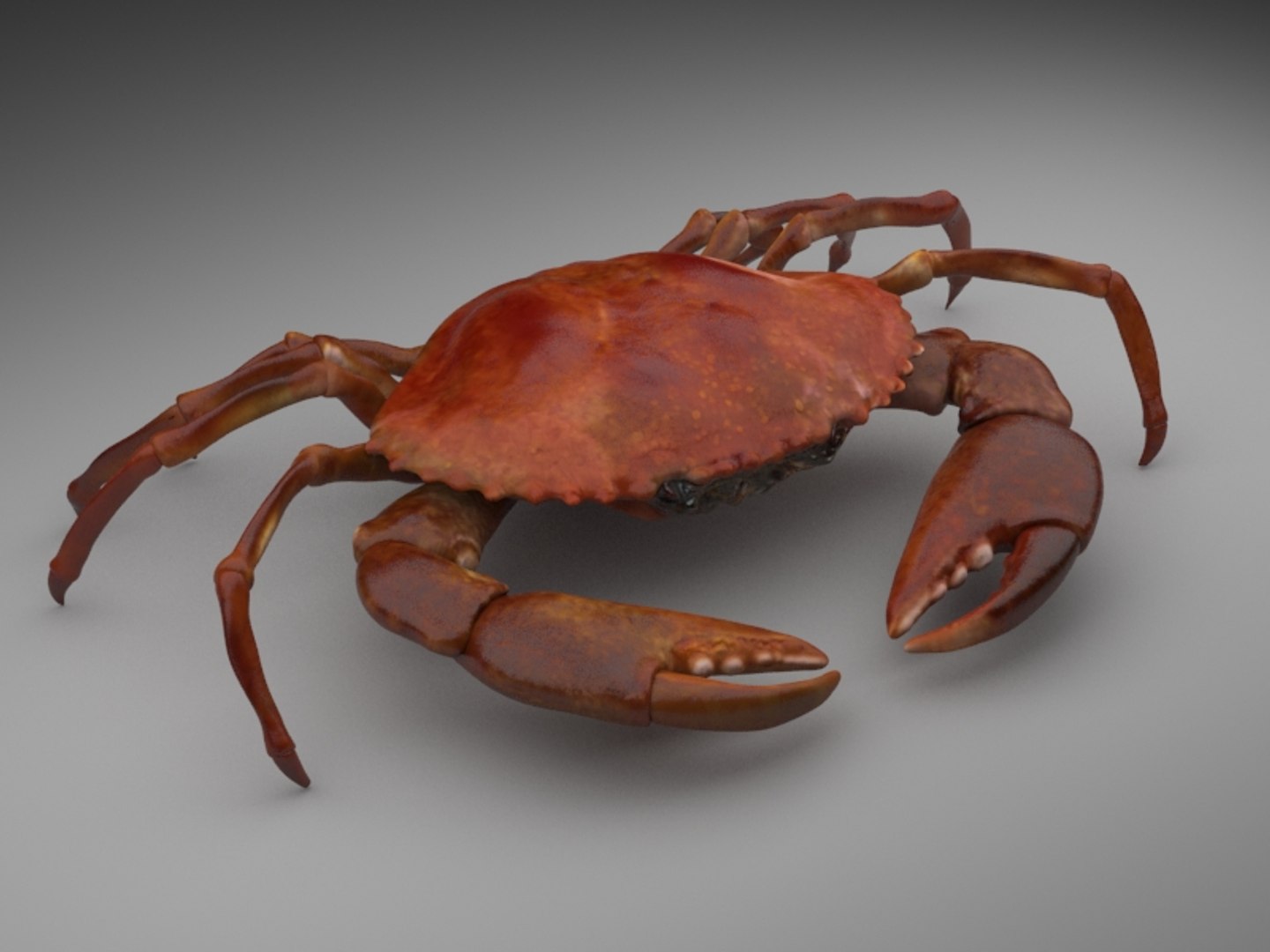 3d Max Crab Rig