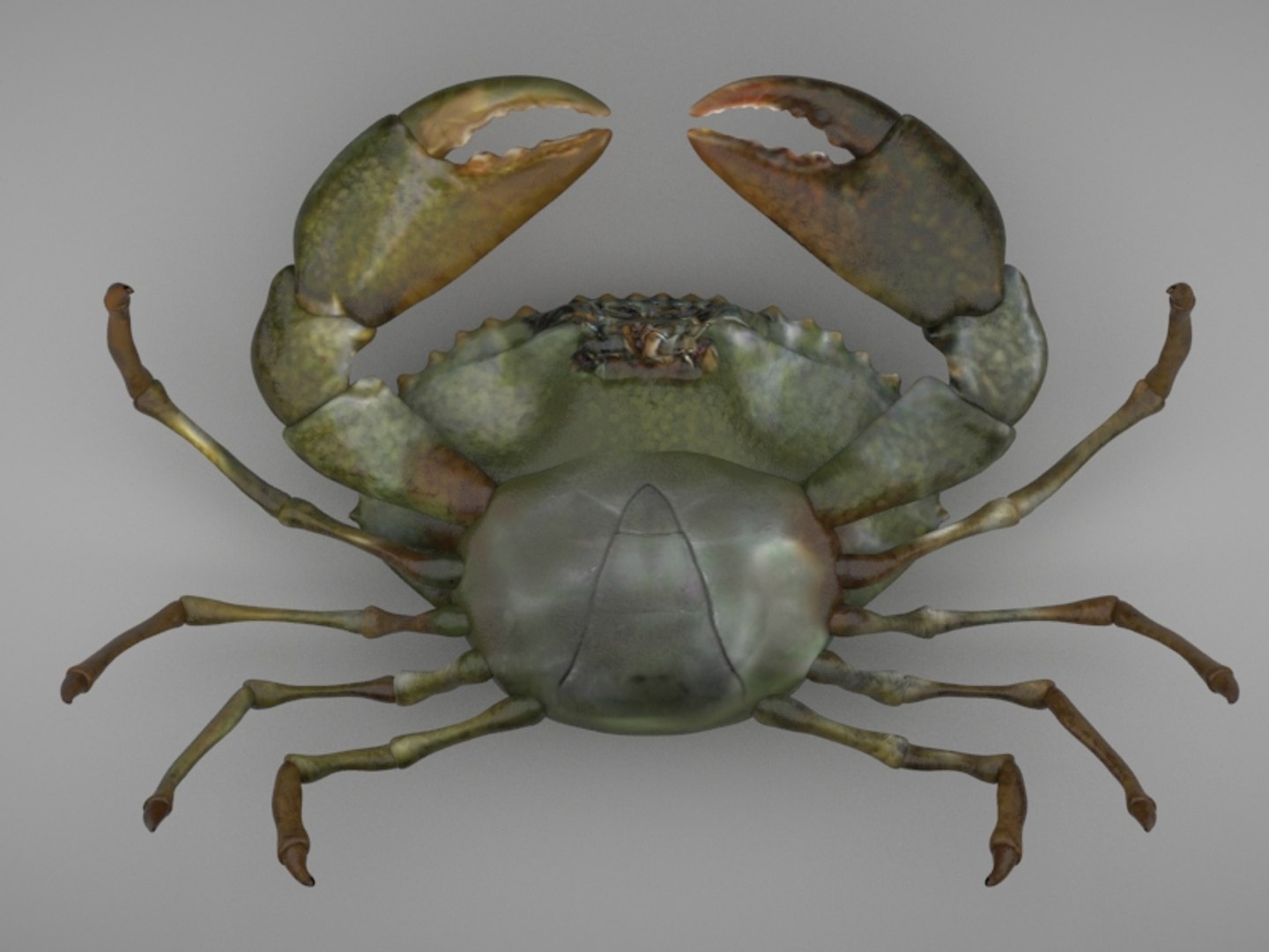 3d Max Crab Rig