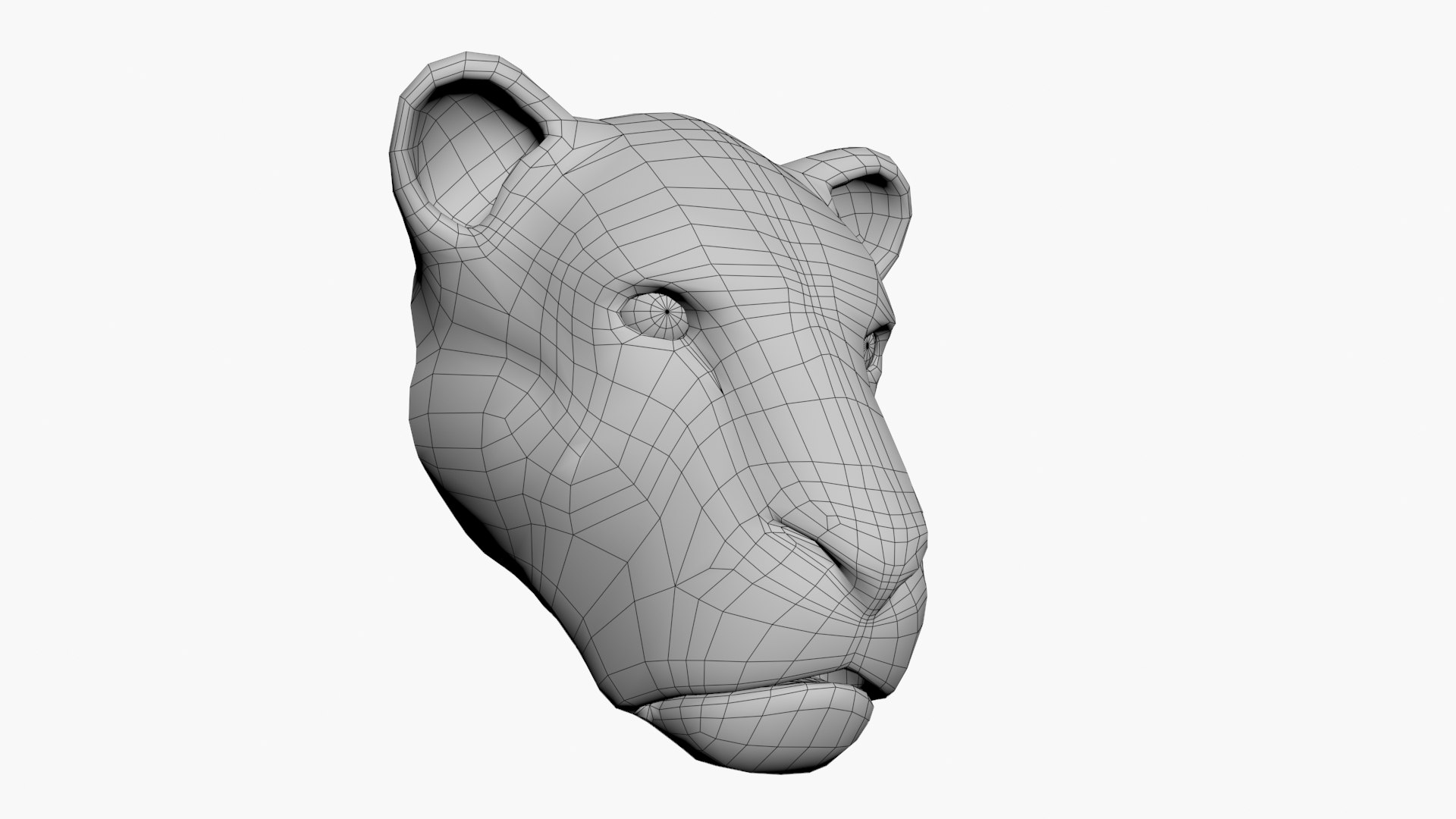 Lioness Head Base Model - TurboSquid 1709712