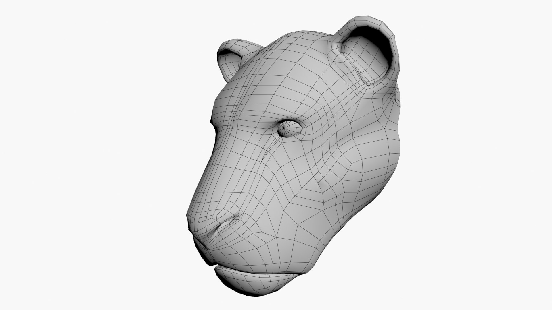 Lioness Head Base Model - TurboSquid 1709712
