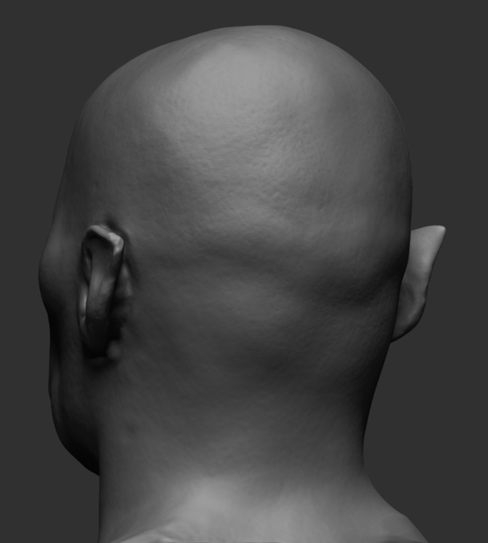 Creature head reference 3D model - TurboSquid 1282580