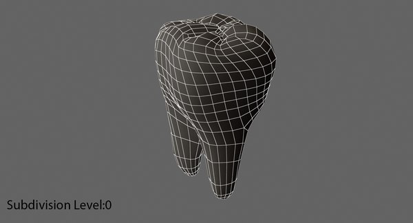 teeth 3d model