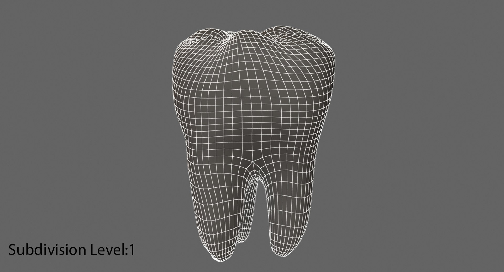 Teeth 3d Model