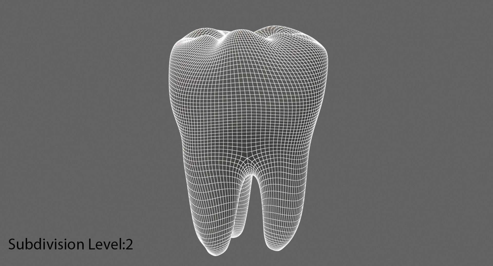 Teeth 3d Model
