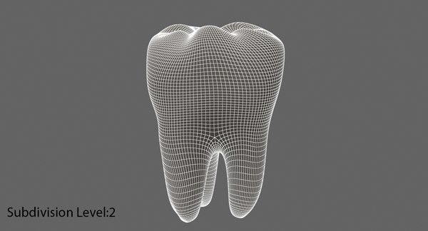 teeth 3d model