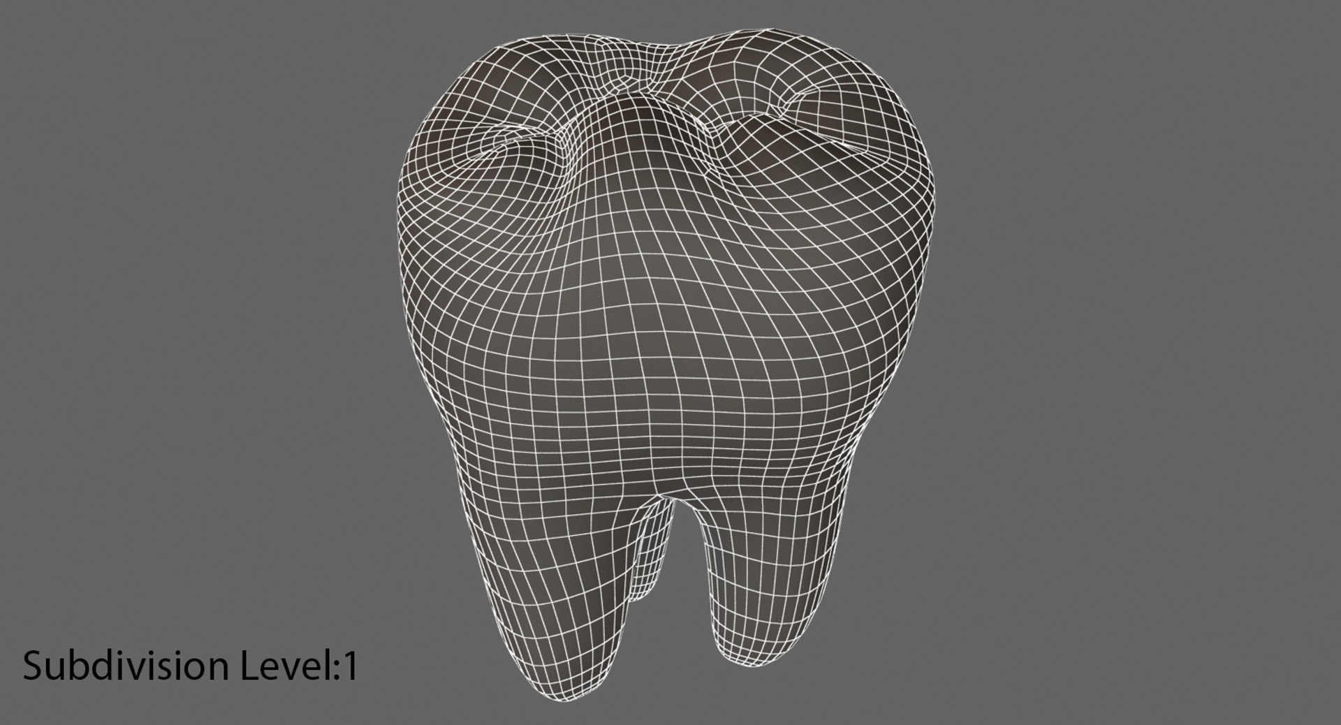 Teeth 3d Model