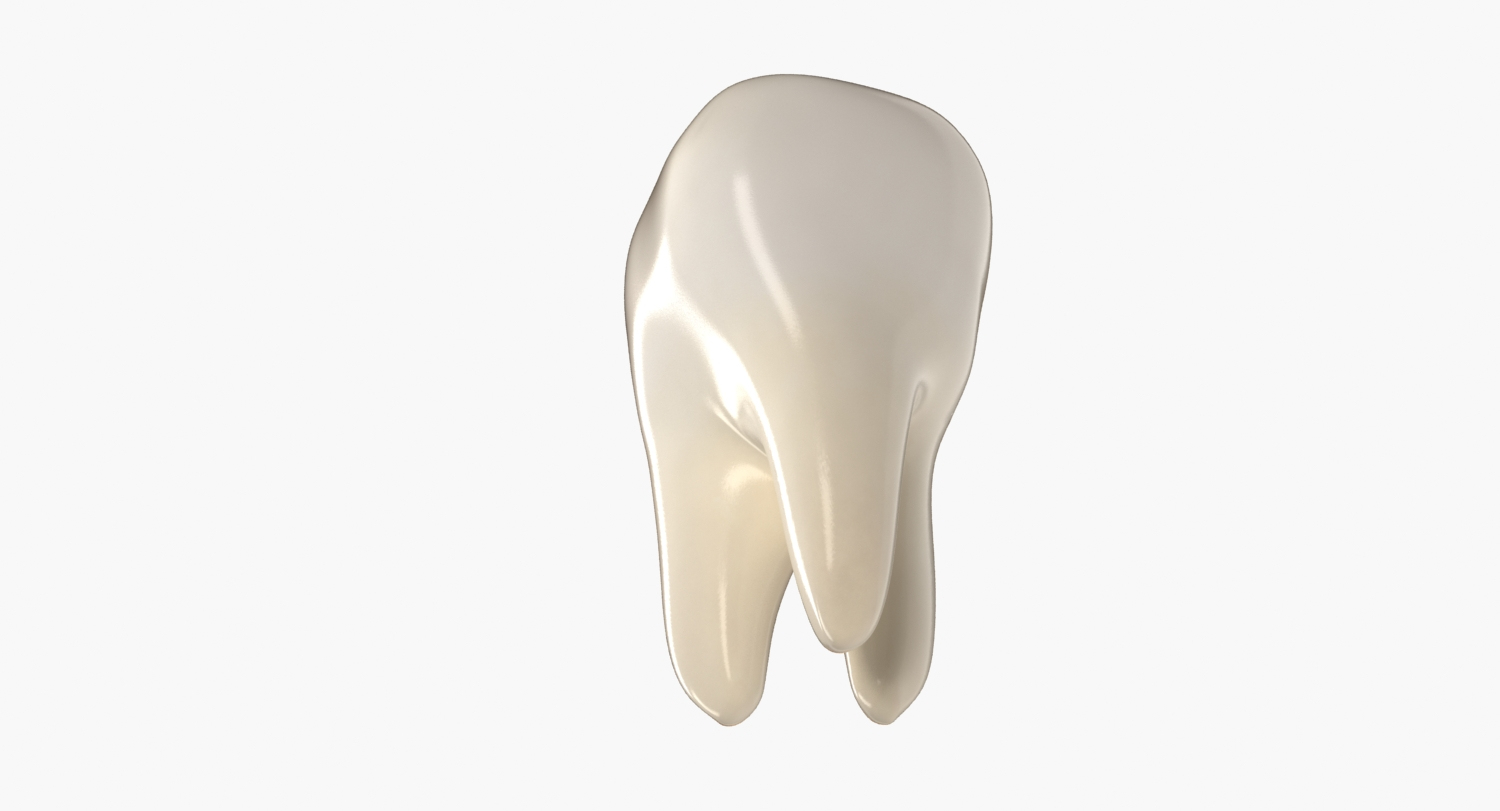teeth 3d model