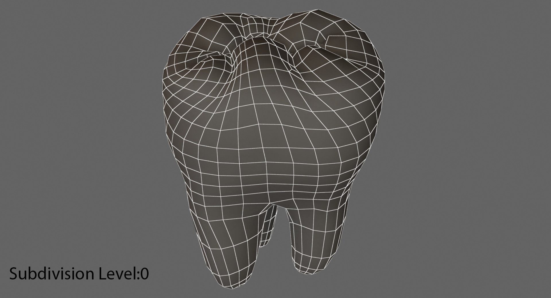Teeth 3d Model