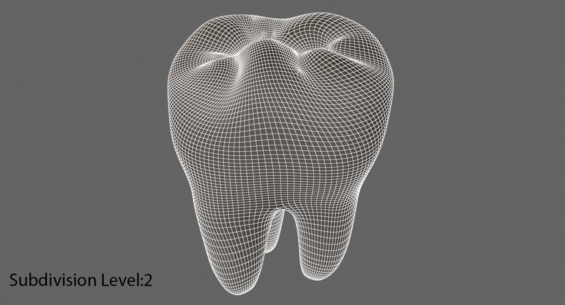 Teeth 3d Model