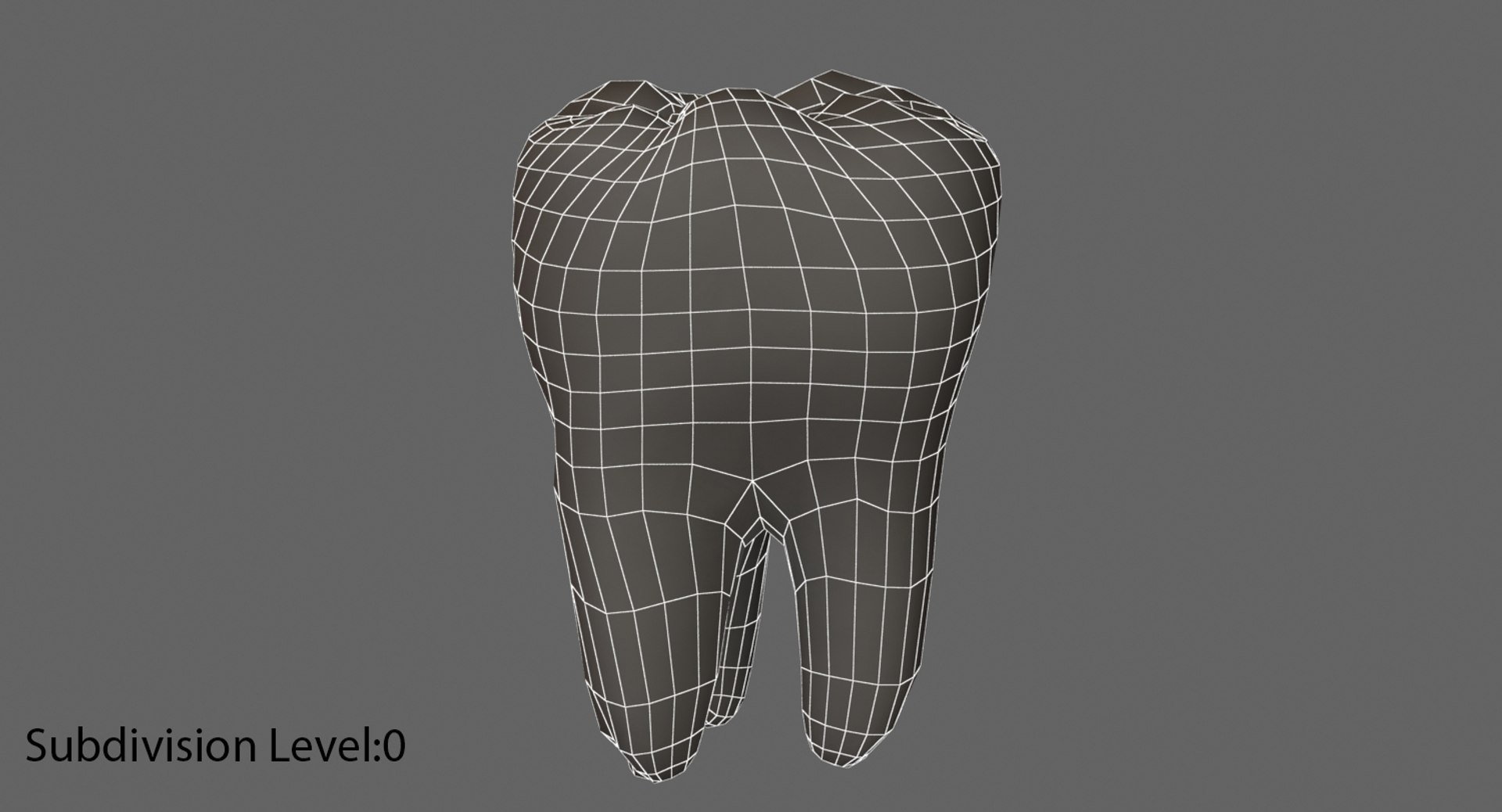 Teeth 3d Model