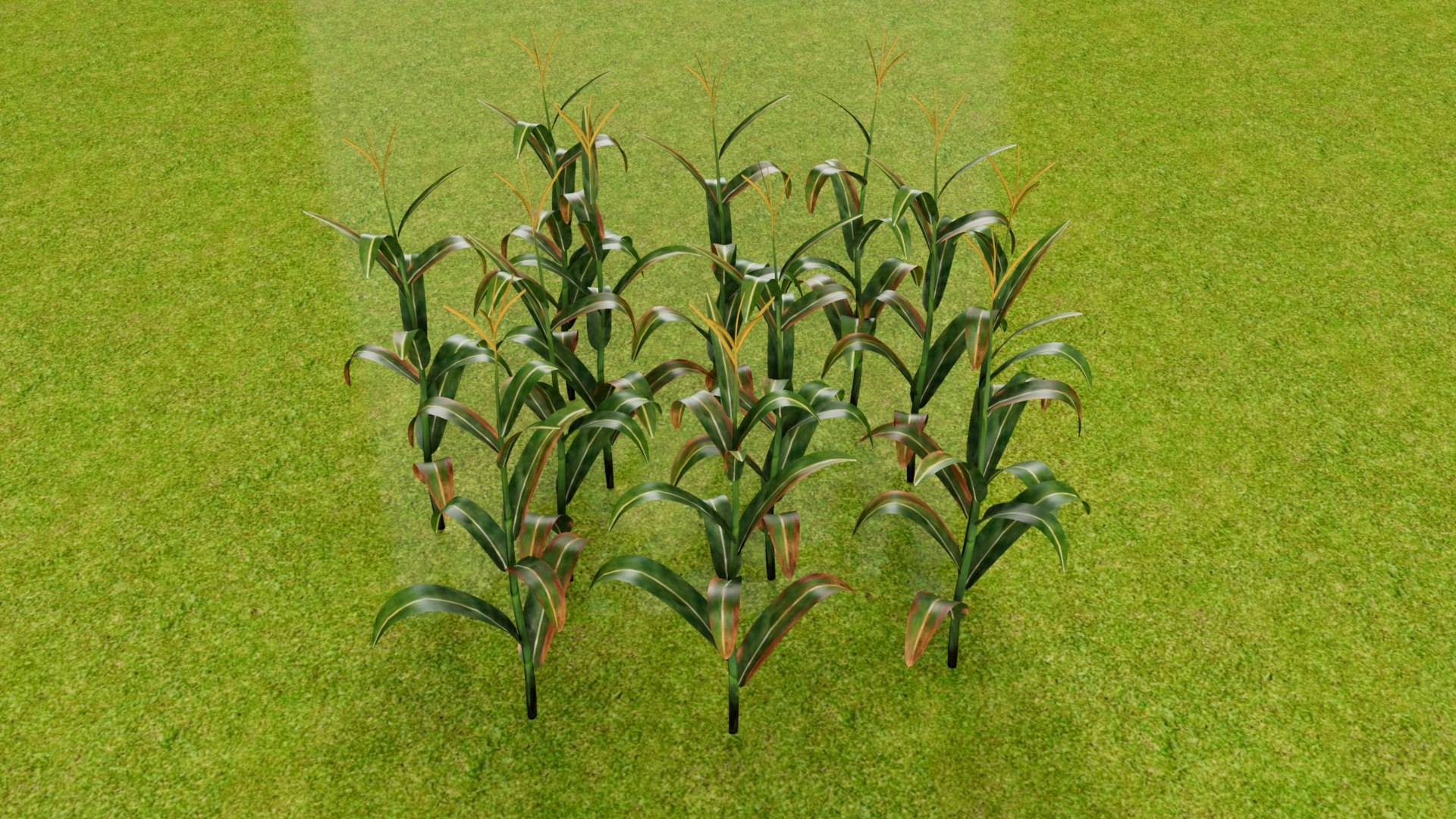 3D Corn Plant - TurboSquid 2022154