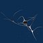 Microscopic Neural Network 3d Max