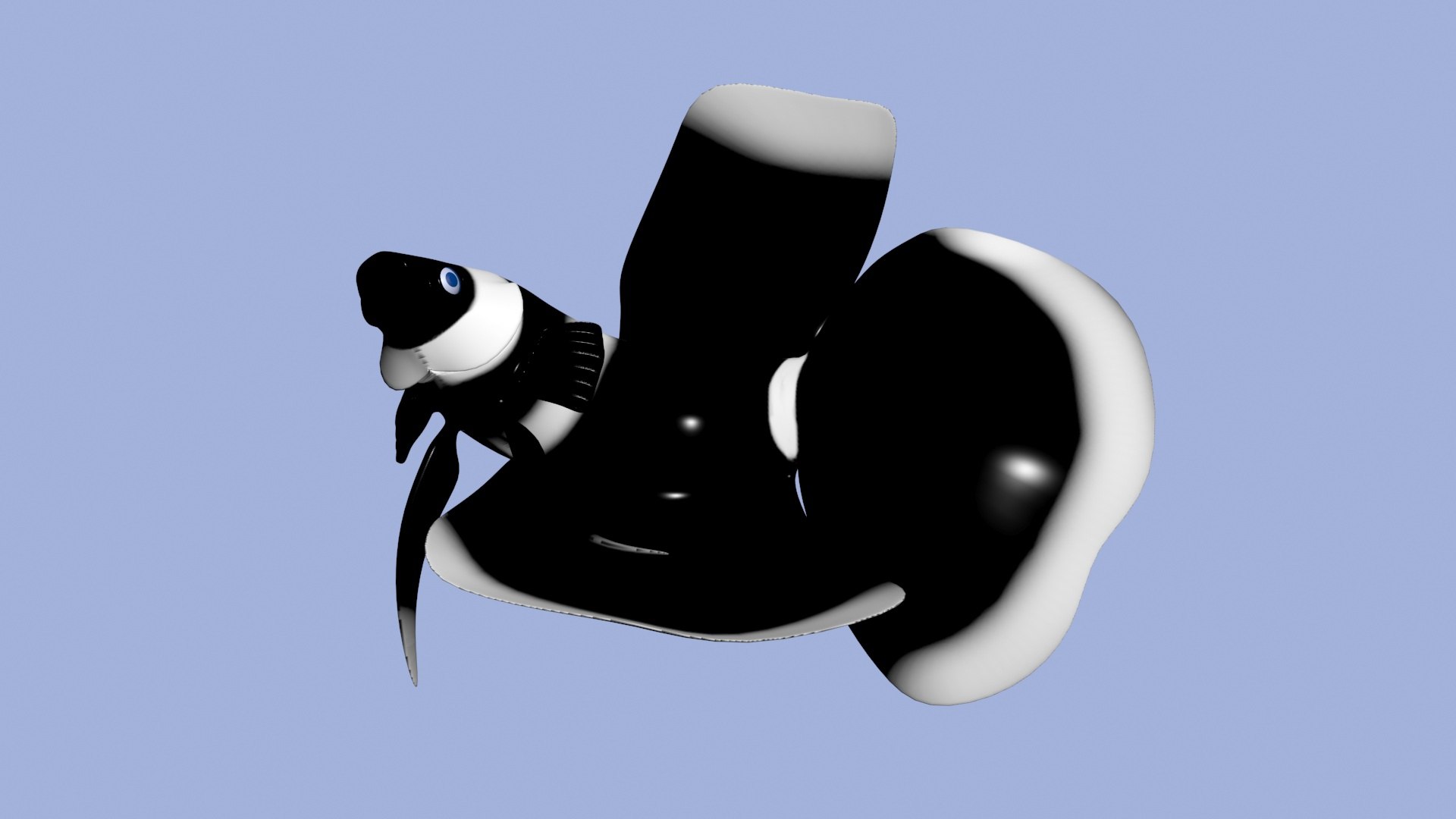 3D Model Clown Betta Fish - TurboSquid 1473414