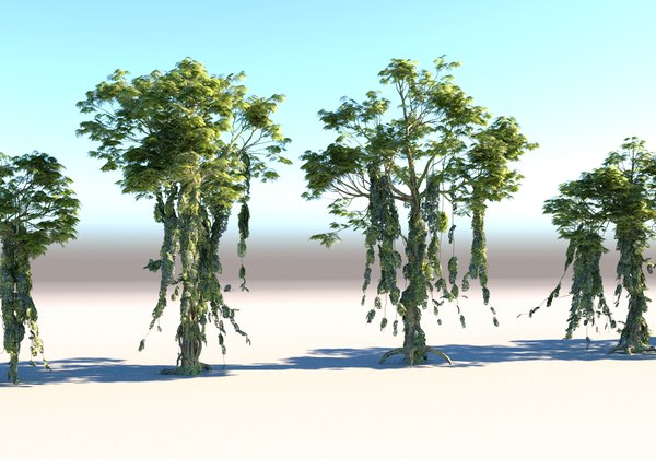 modelo 3d Animated Jungle Tree Pack 20 - TurboSquid 2087490