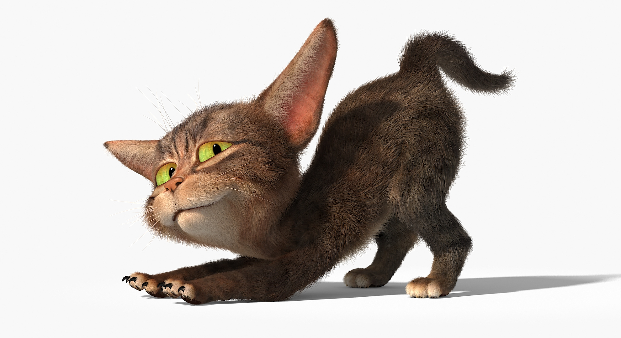 cat character rig 3d model
