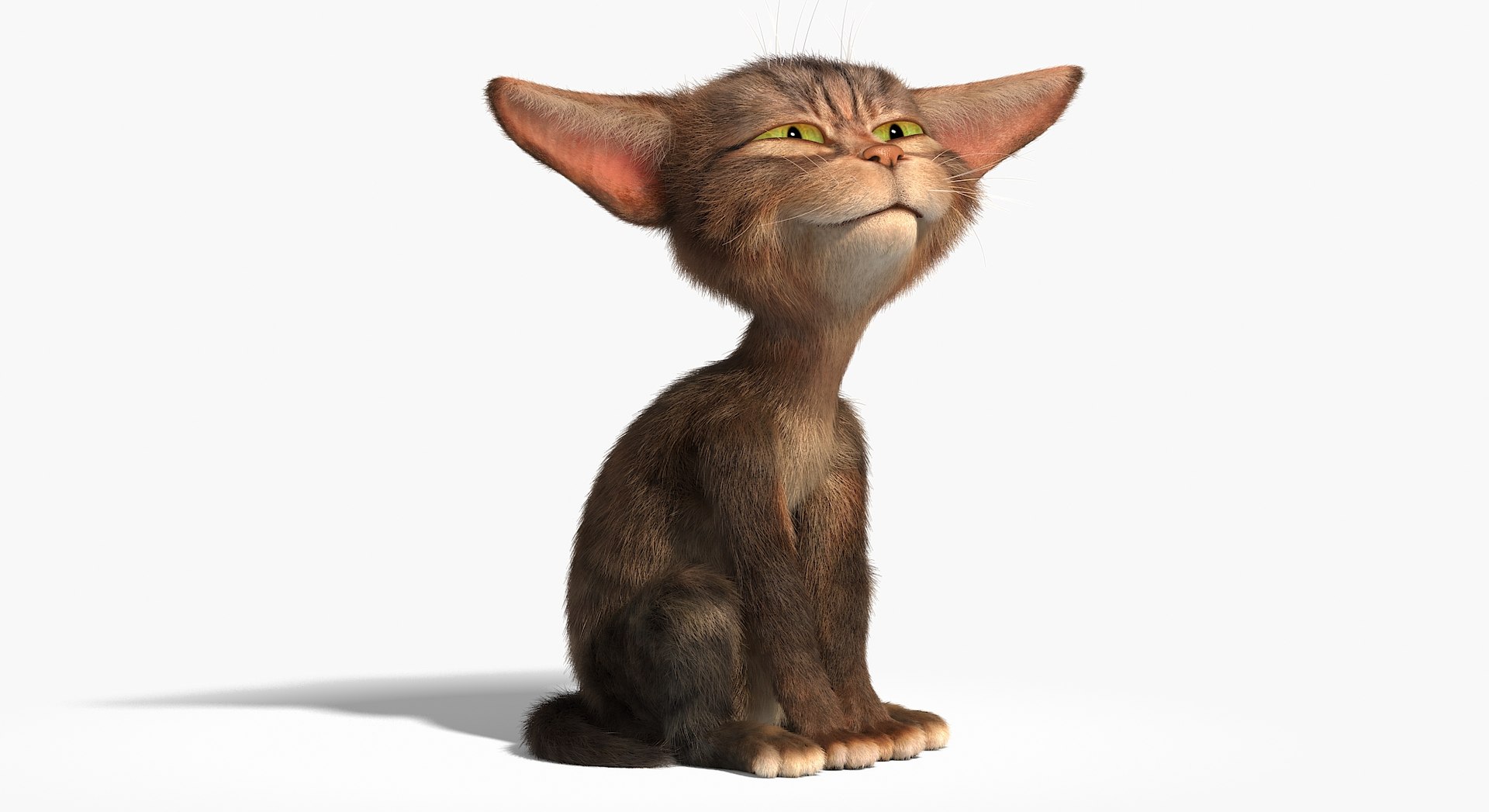 Cat Character Rig 3d Model