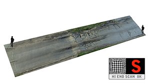 3d forest road model