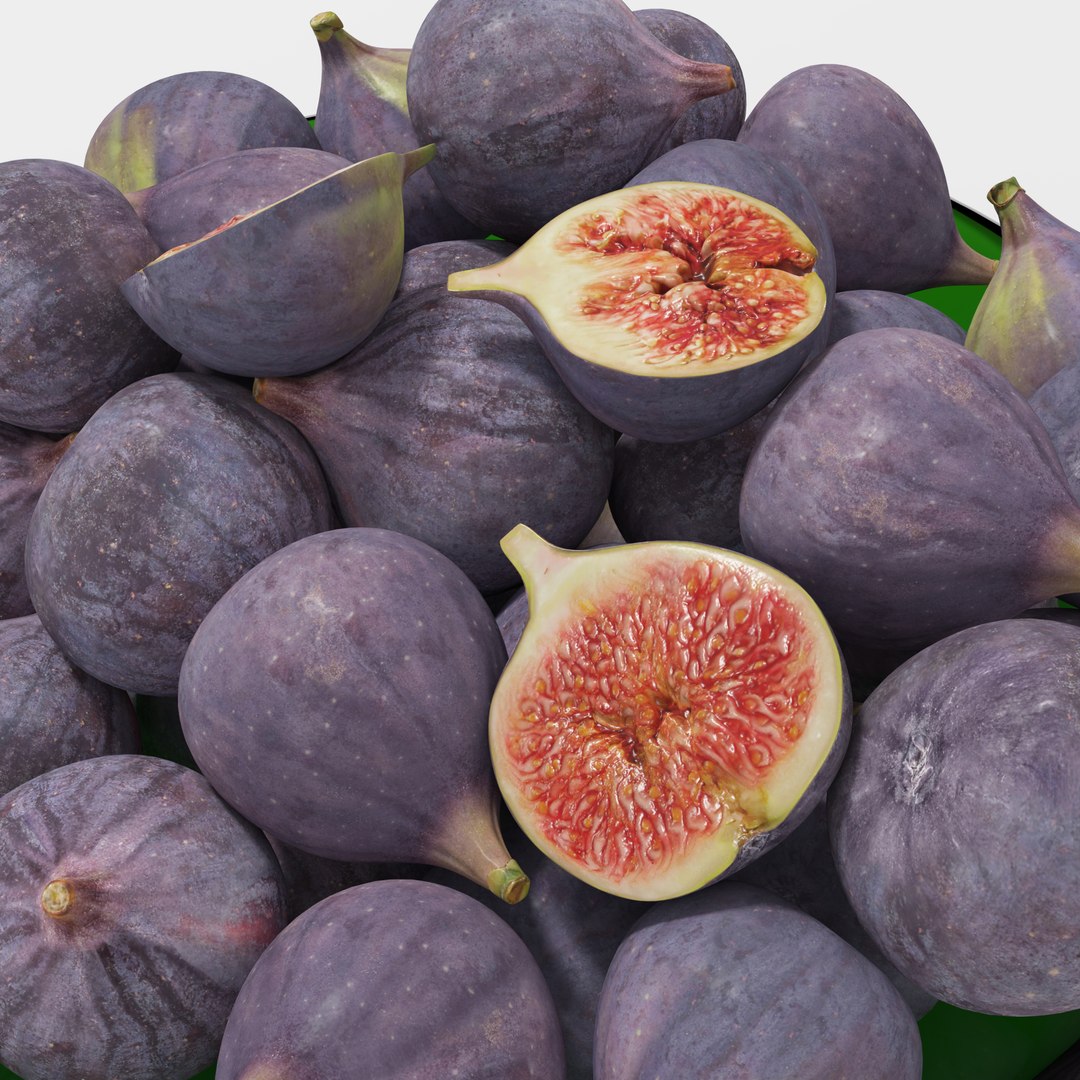 3D Model Fig - TurboSquid 2010795