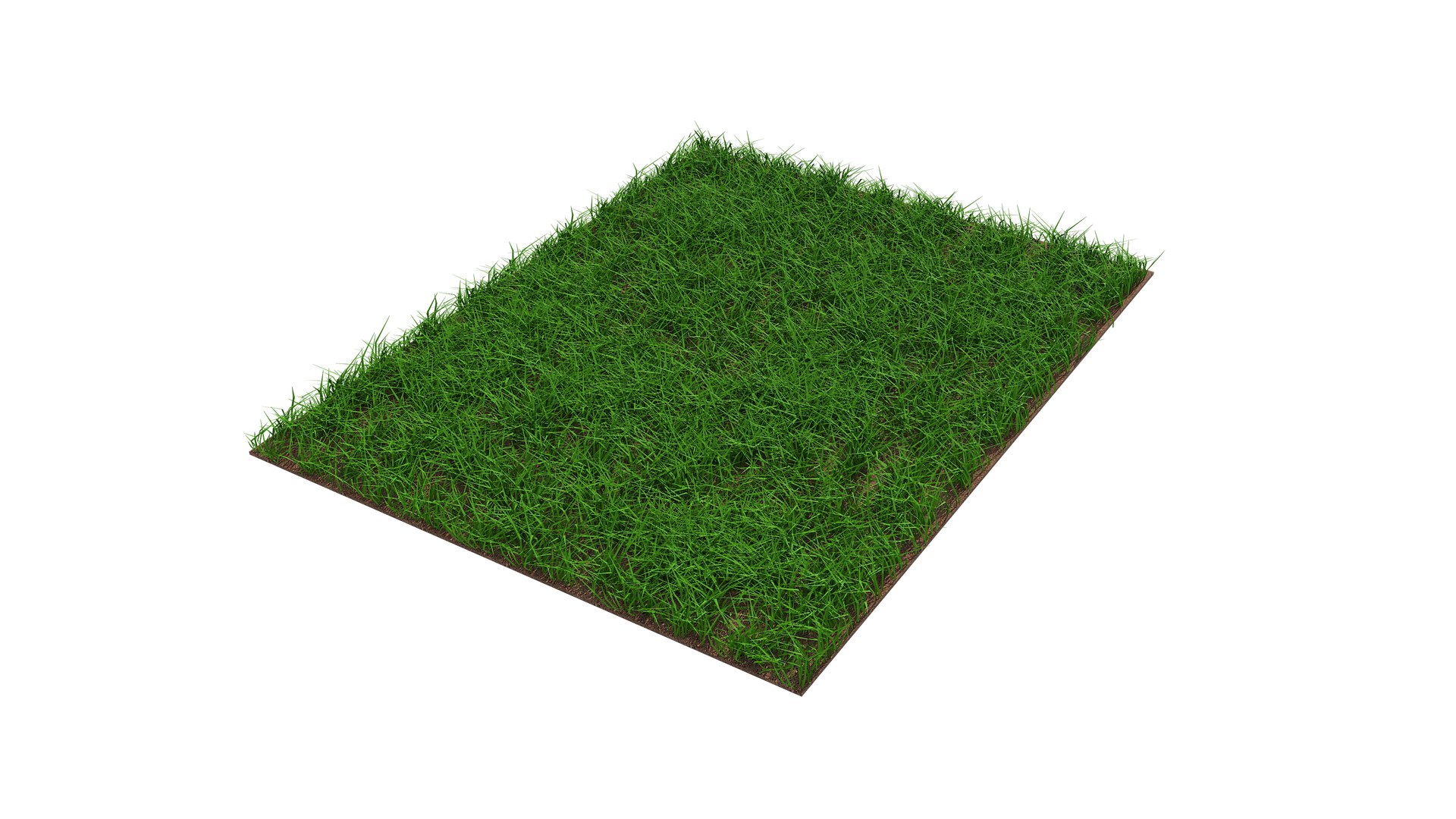 3D Grass Cross Sections Model - TurboSquid 2245091