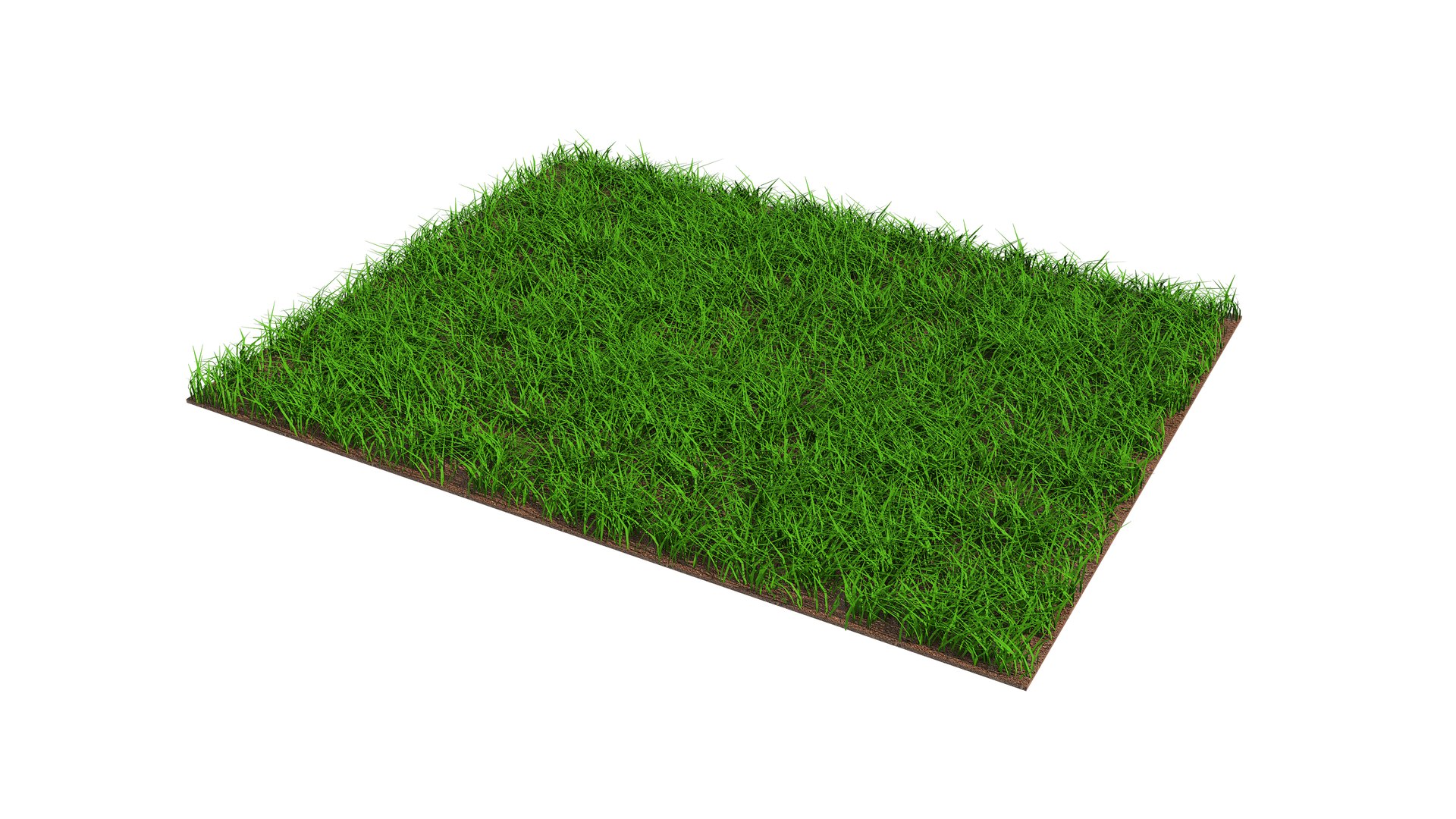 3D Grass Cross Sections Model - TurboSquid 2245091