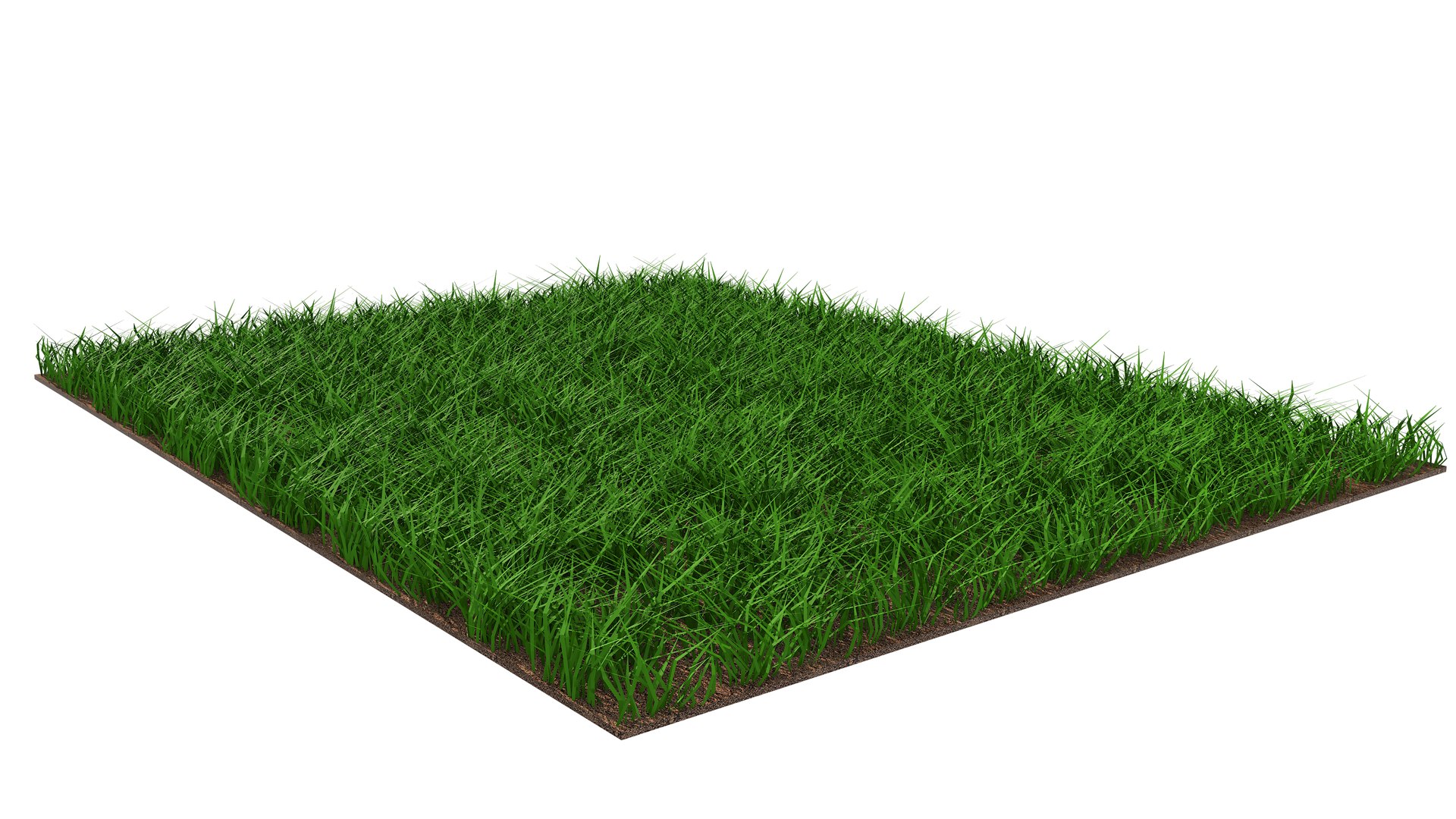 3D Grass Cross Sections Model - TurboSquid 2245091