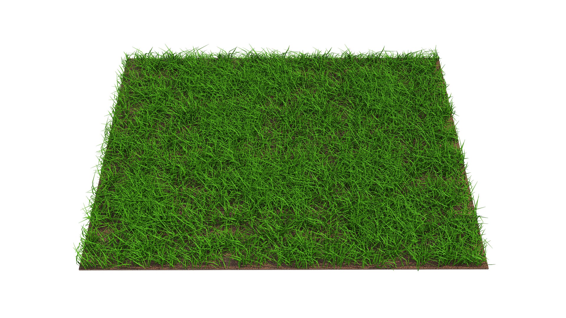 3D Grass Cross Sections Model - TurboSquid 2245091